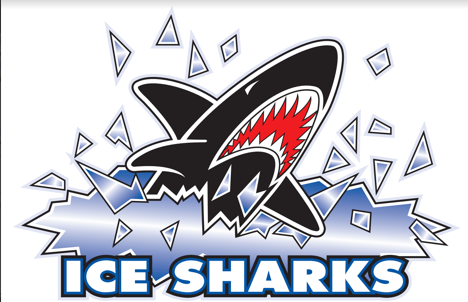 Maitland Ice Sharks – Johnny K