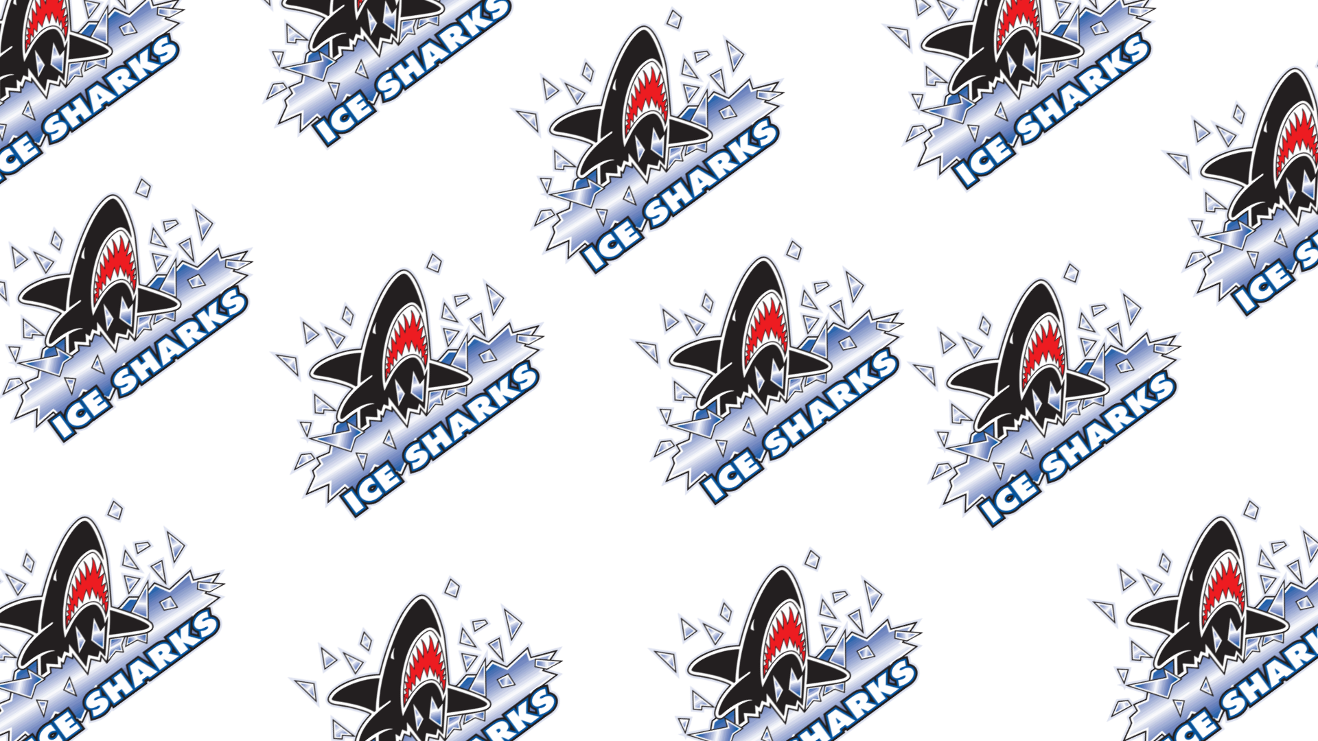 Maitland Ice Sharks – Johnny K
